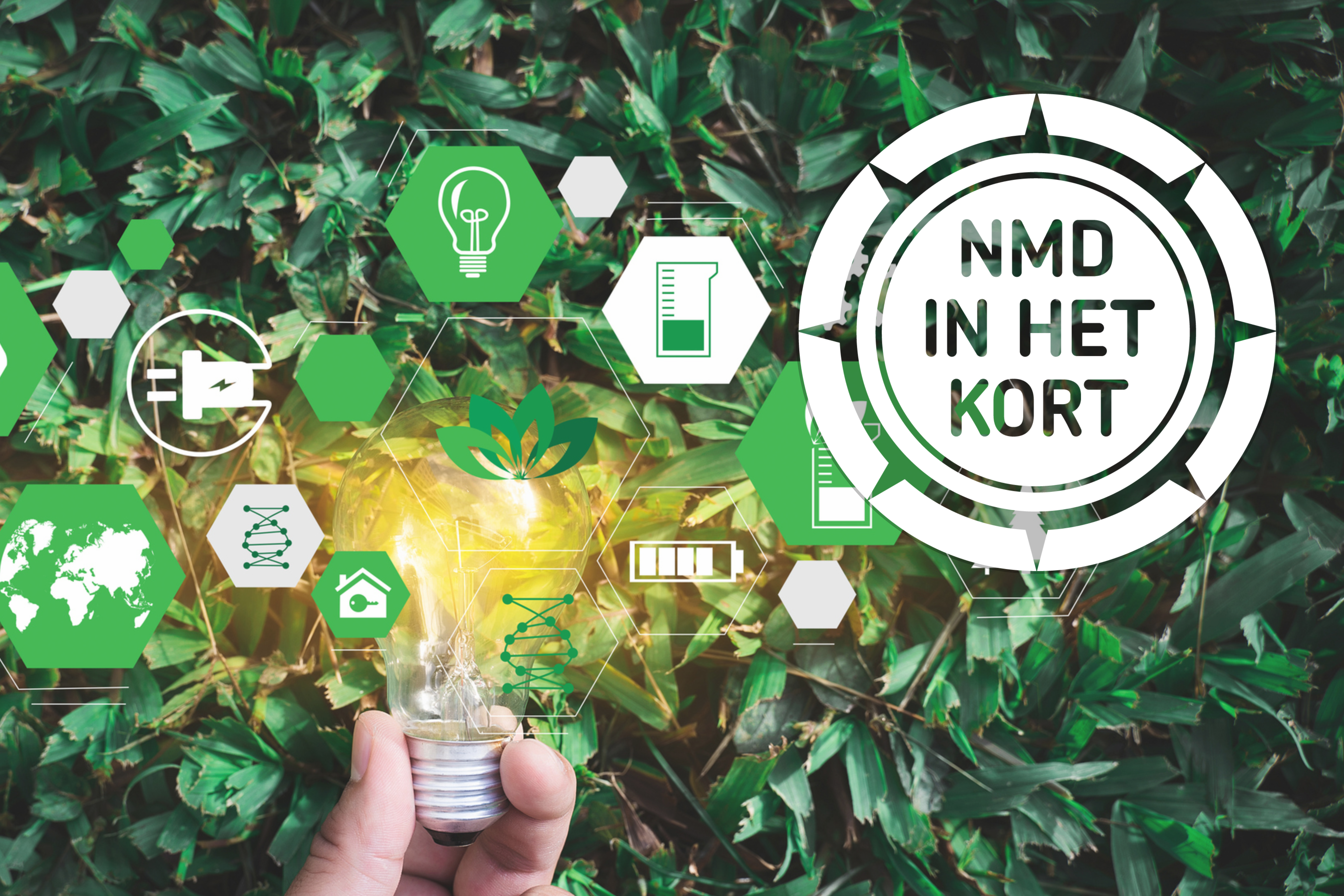 Ecoinvent, what about it?