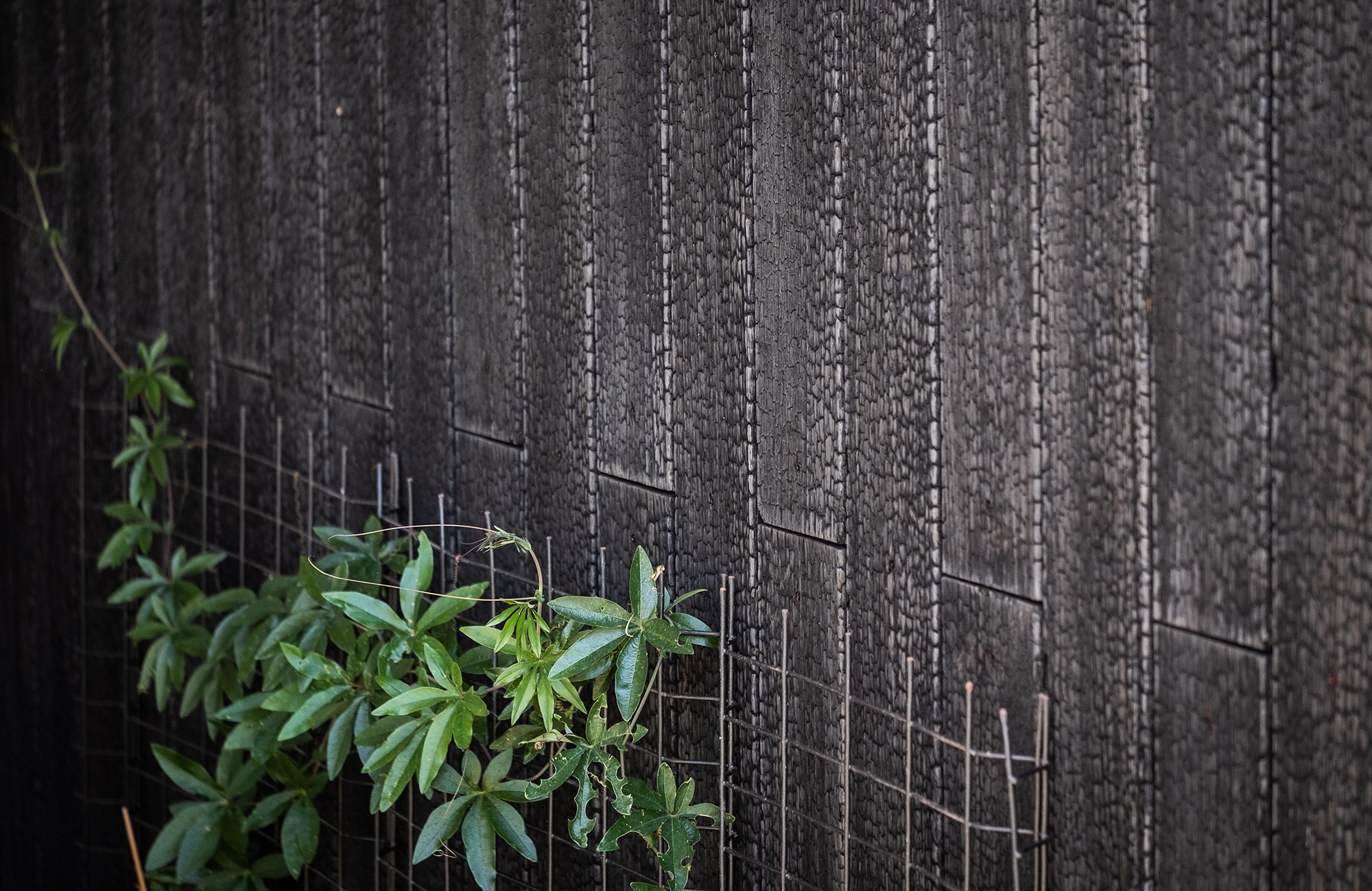 Yoroi - diepgebrande bamboe planken met brandklasse B - met CAT 1 data in NMD | Nationale ...